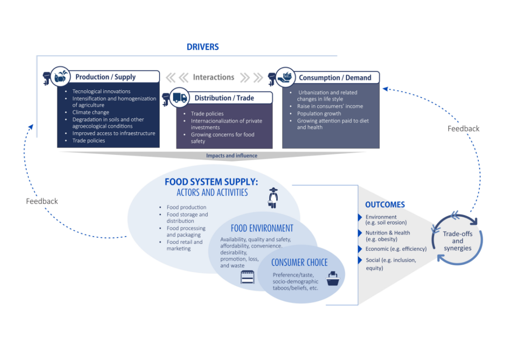 The conceptual framework – SFSC